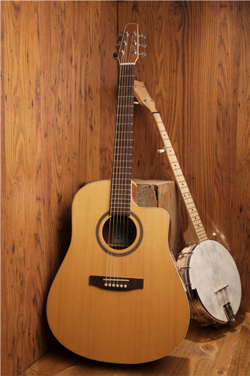 Rachel Sumner & Traveling Light at The Parlor Room | Western Mass Arts ...
